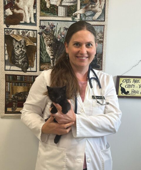 Best Veterinary Hospital In Oak Ridge, TN 37830 | Ideal Vet